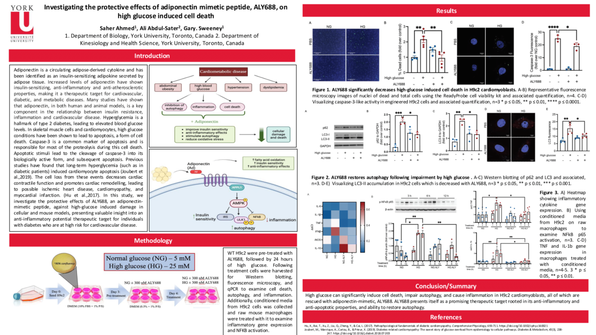 2025400 – Beyond Sciences