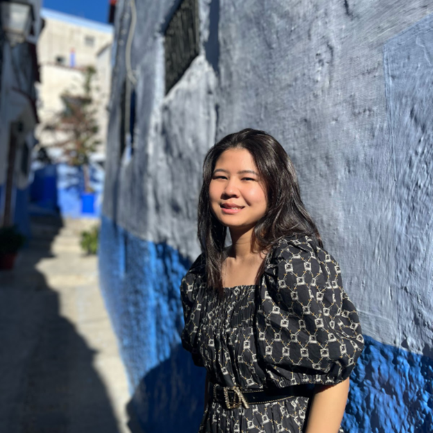 About BSI – Beyond Sciences