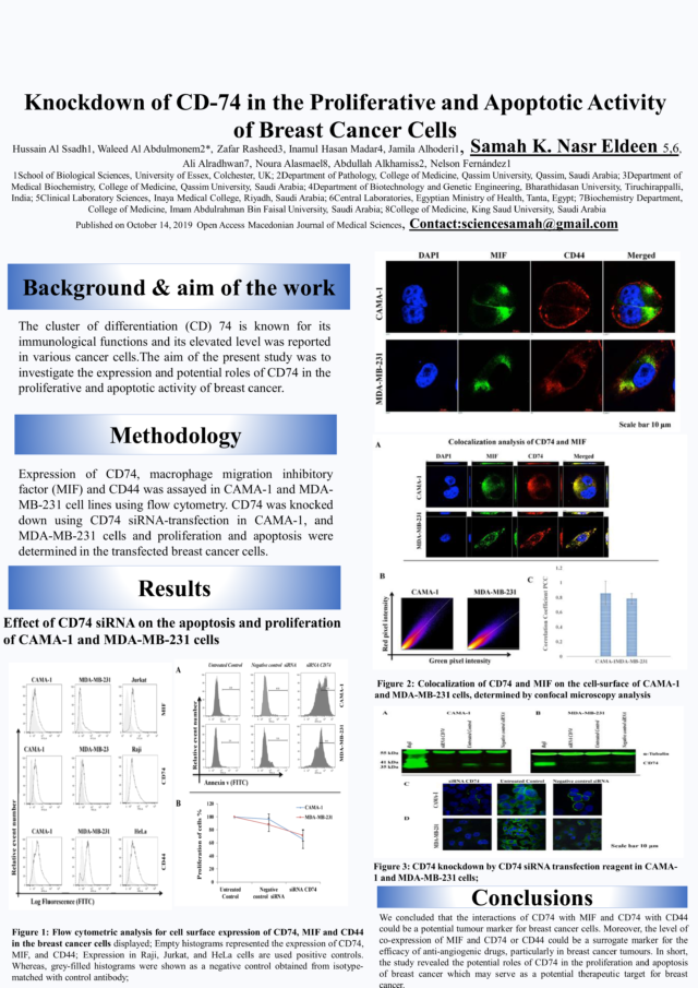 Conference2023 – Beyond Sciences